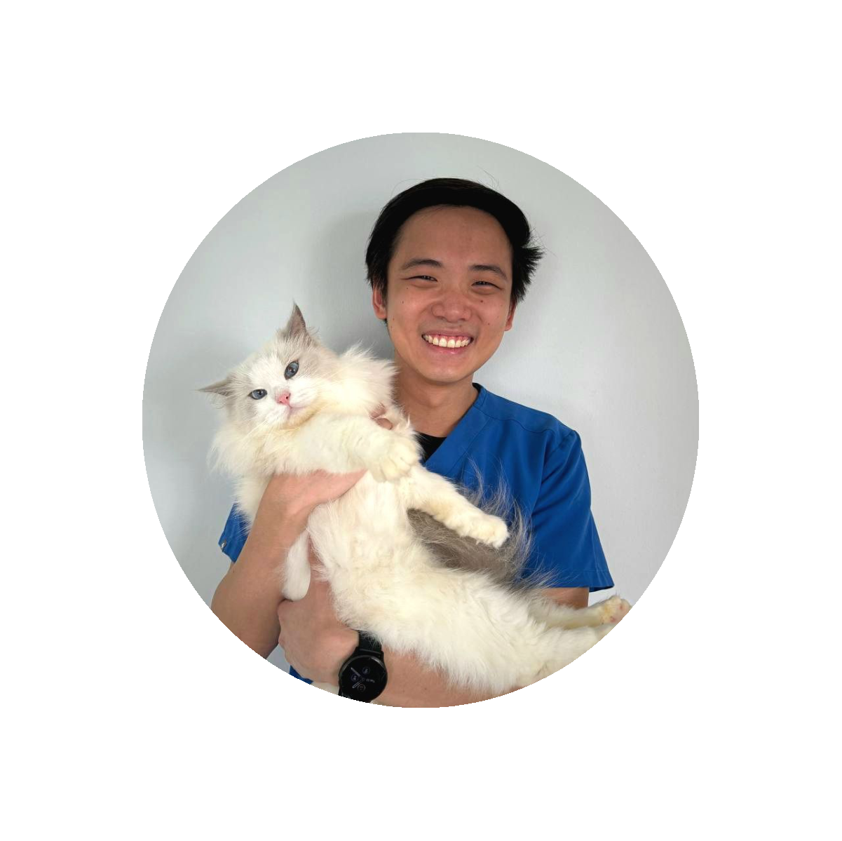 Dr Nicholas Quek - The Animal Clinic