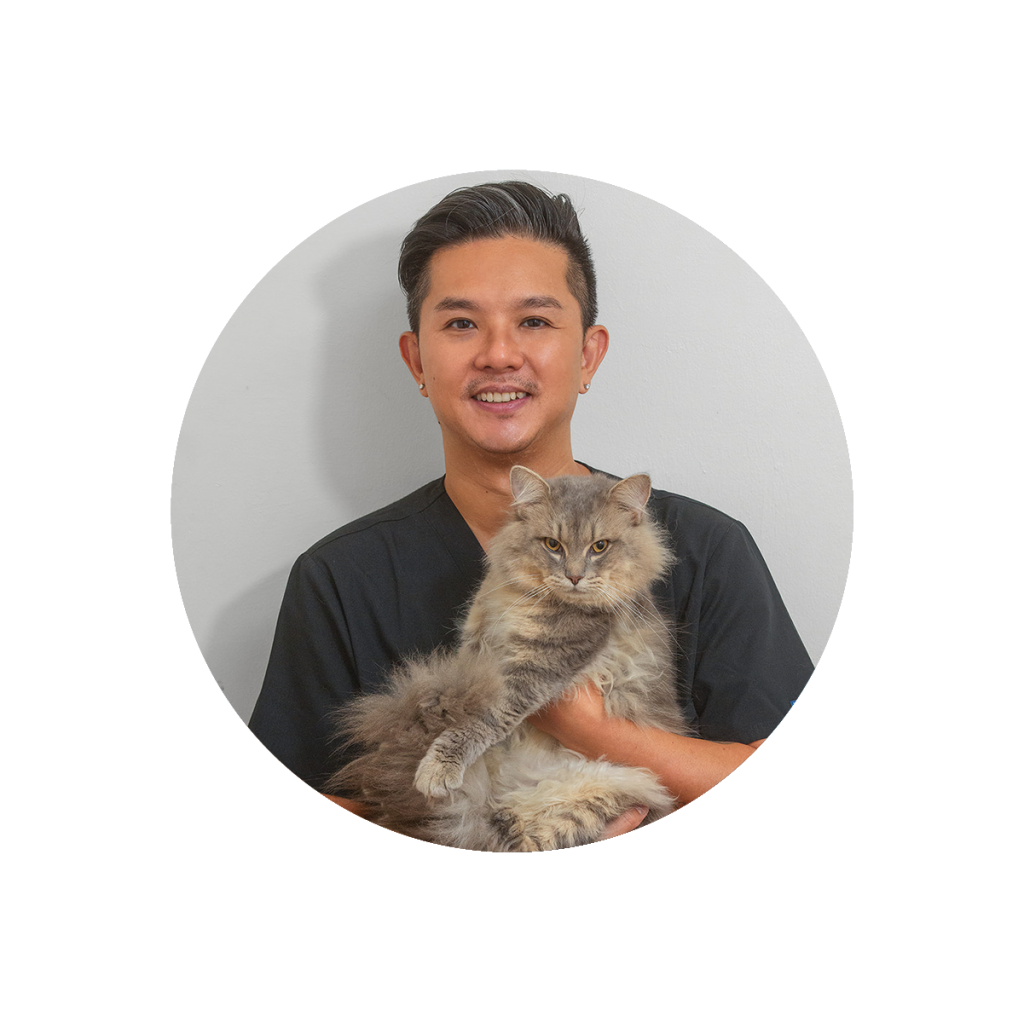 About us - The Animal Clinic